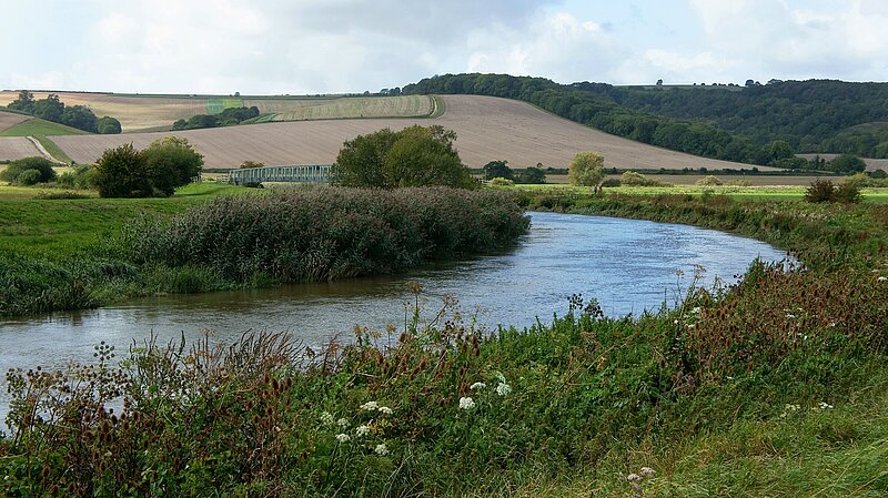 COLUMN: Taking action to restore our rivers - Horsham Liberal Democrats